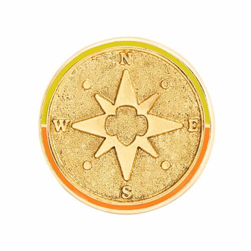 Senior-Ambassador True North Award Pin | Girl Scout Shop