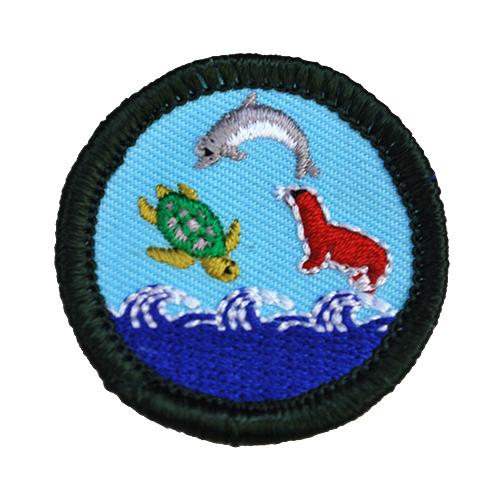 GSCSNJ Ocean Discovery Badge | Girl Scout Shop