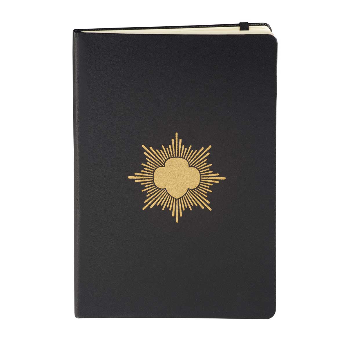 Gold Award Journal | Girl Scout Shop