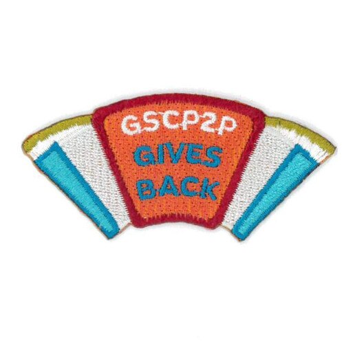 scout lifesaver badge