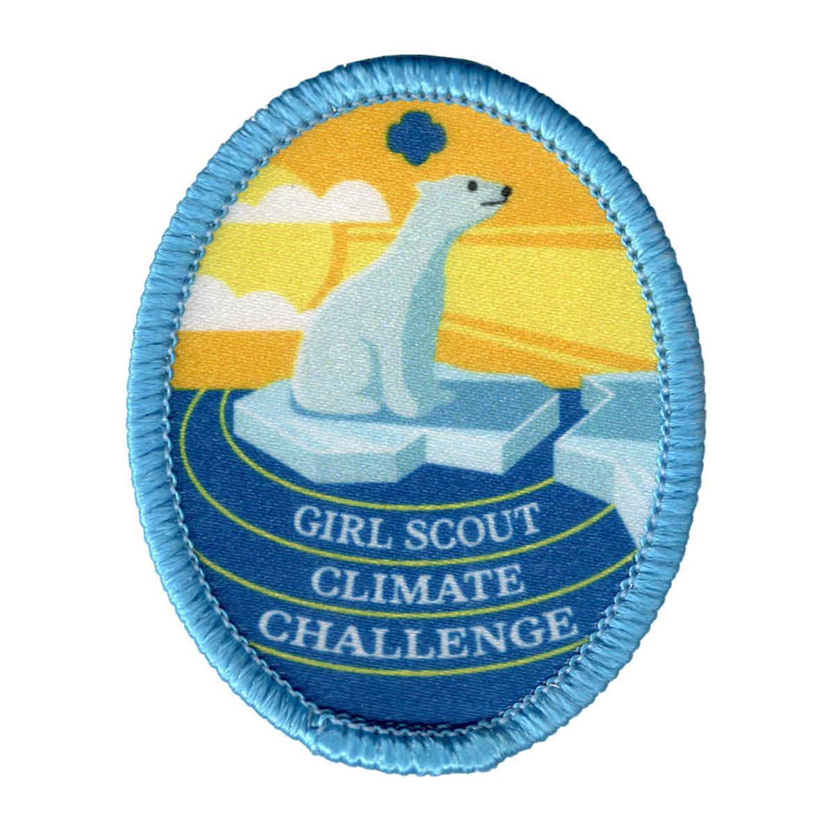 Girl Scout Patch Ideas