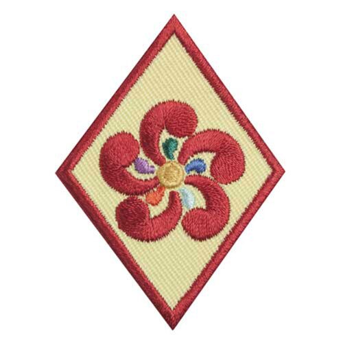 GSCTX Cadette Entrepreneur Retired Badge | Girl Scout Shop
