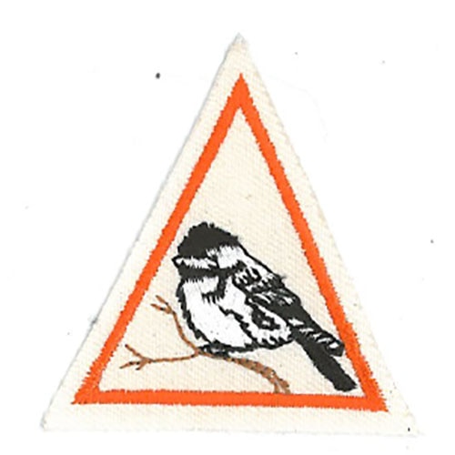 GSAK Bird Brownie Badge | Girl Scout Shop