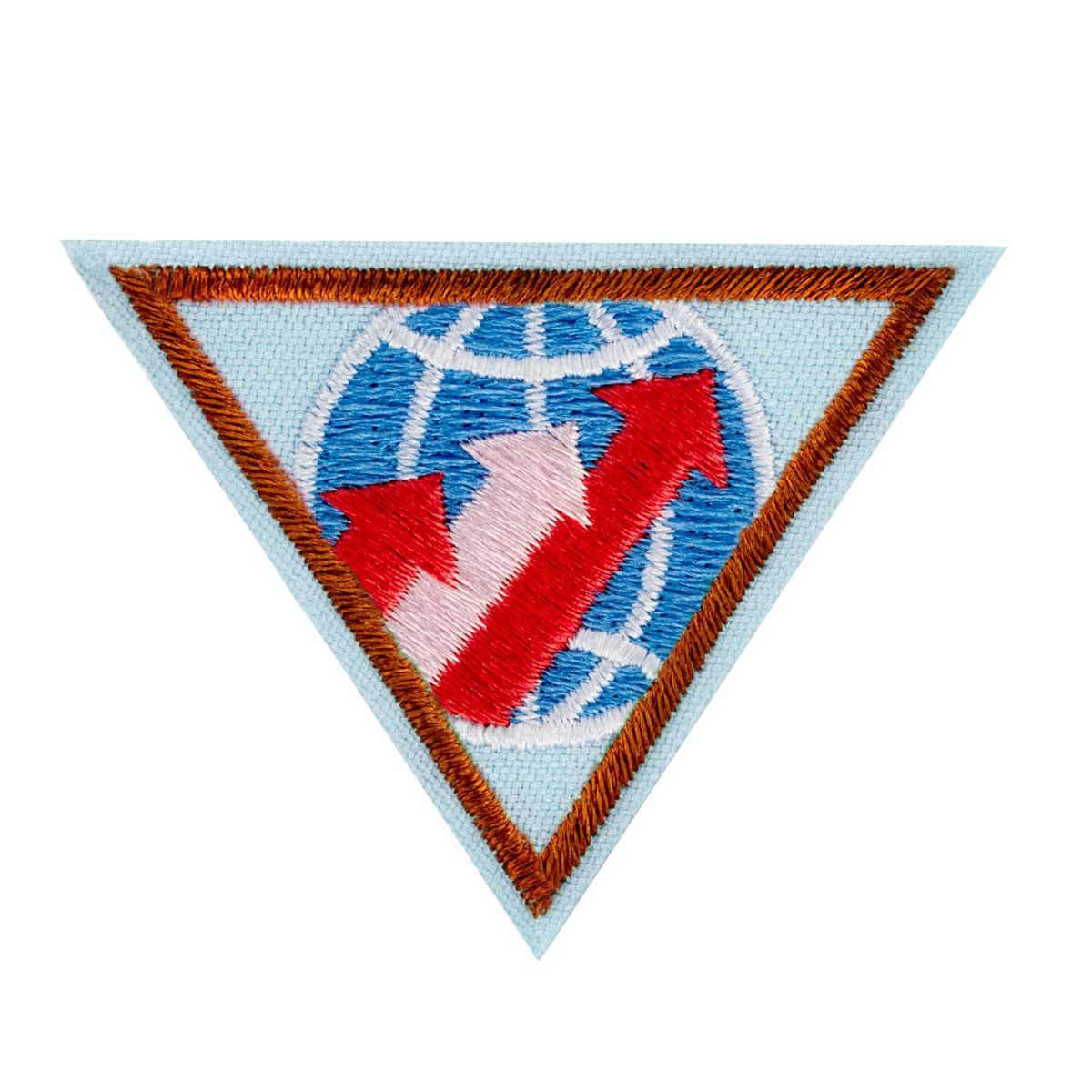 Brownie Global Action Award - Year 1| Girl Scout Shop
