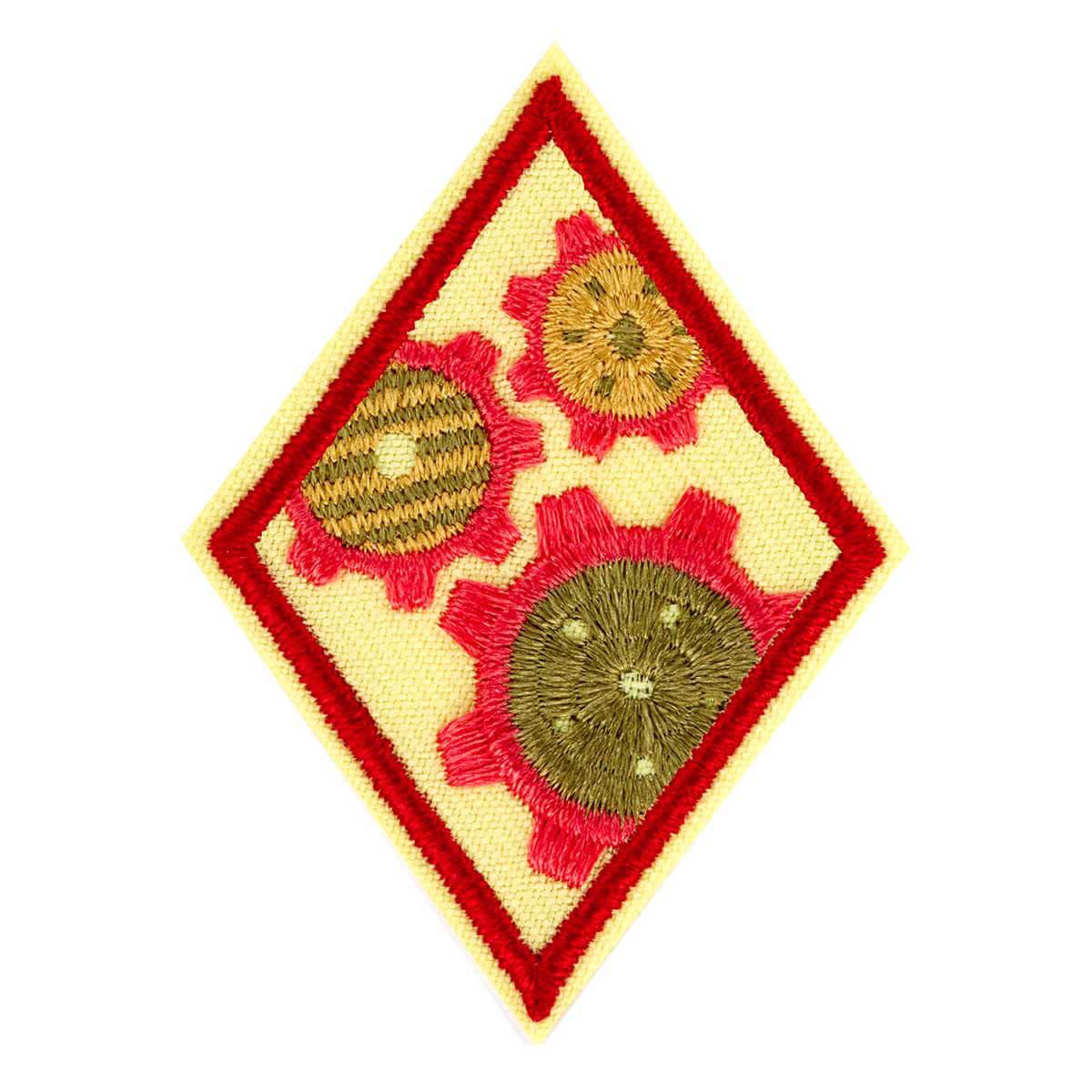 Cadette Cookie Innovator Badge| Girl Scout Shop