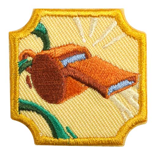 Ambassador Coaching Badge | Girl Scout Shop