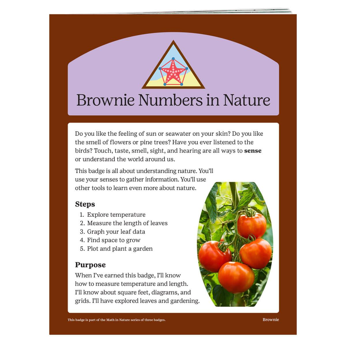 Brownie Numbers in Nature Badge Requirements | Girl Scout Shop