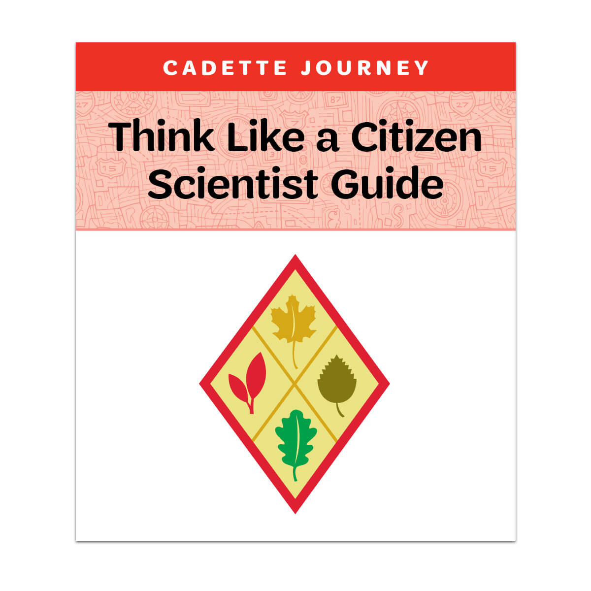 Cadette Think Like a Citizen Scientist Digital Requirements | Girl ...